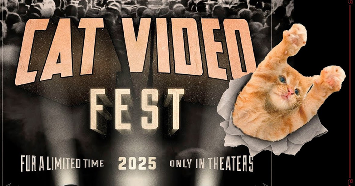 Cat Video Fest 25 (U) | Quay Arts